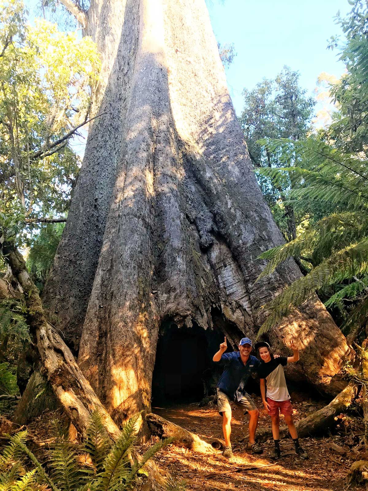 Narva | A Trip Through Tassie